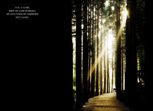 The Lighted Path - Homeschool Story